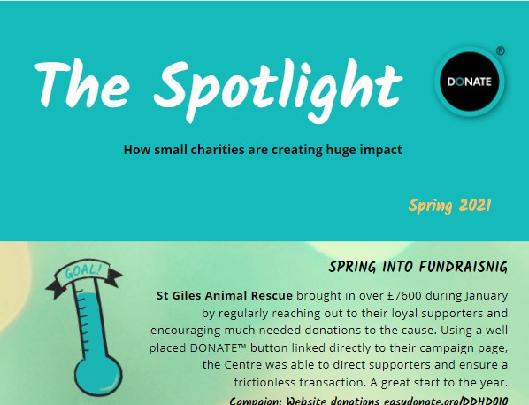 Spotlight Spring. How small charities are creating a huge impact ...